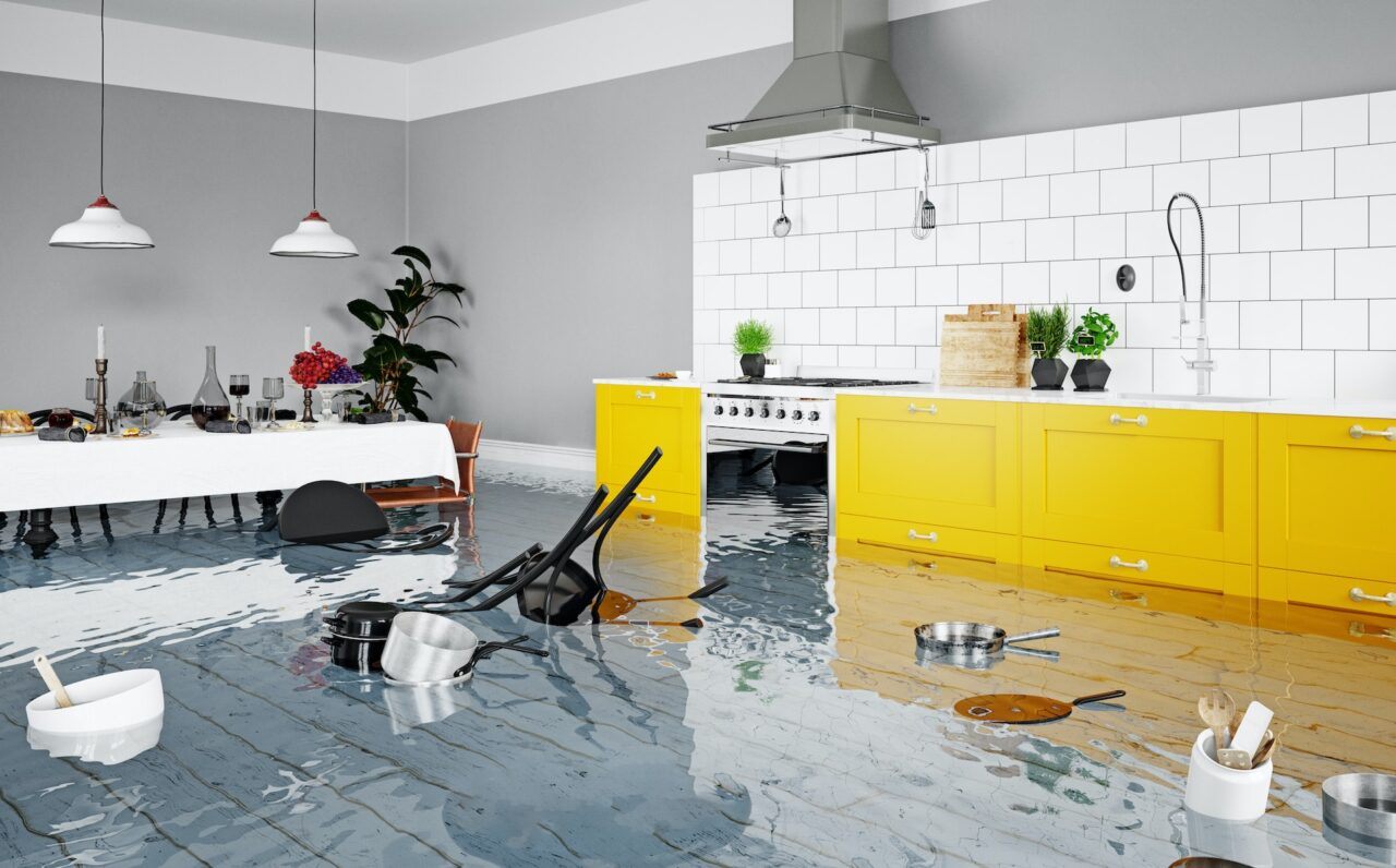 Gainesville Homeowner's Guide To Water Damage